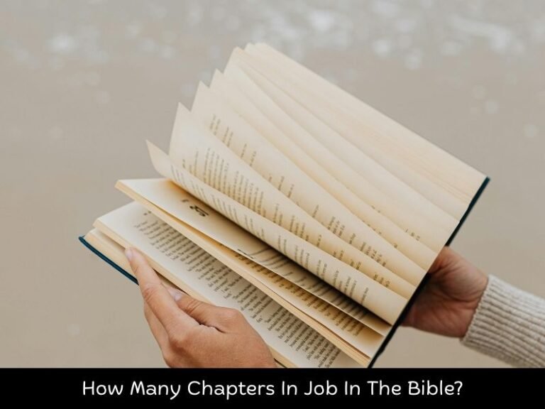 How Many Chapters In Job In The Bible Explained